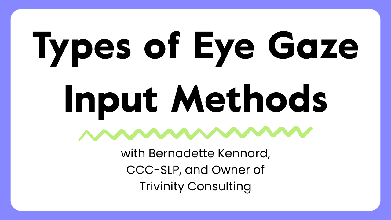 Different Types of Eye Gaze Systems