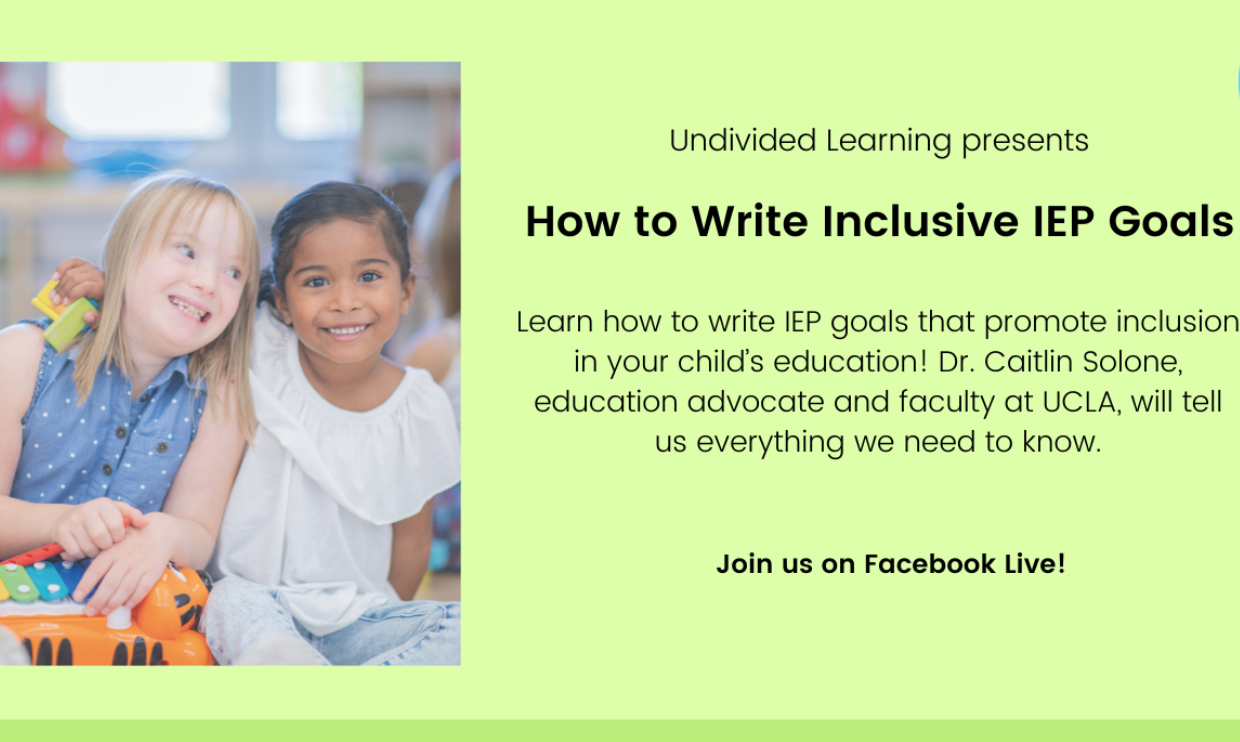 Undivided: Tips for Writing Inclusion into an IEP