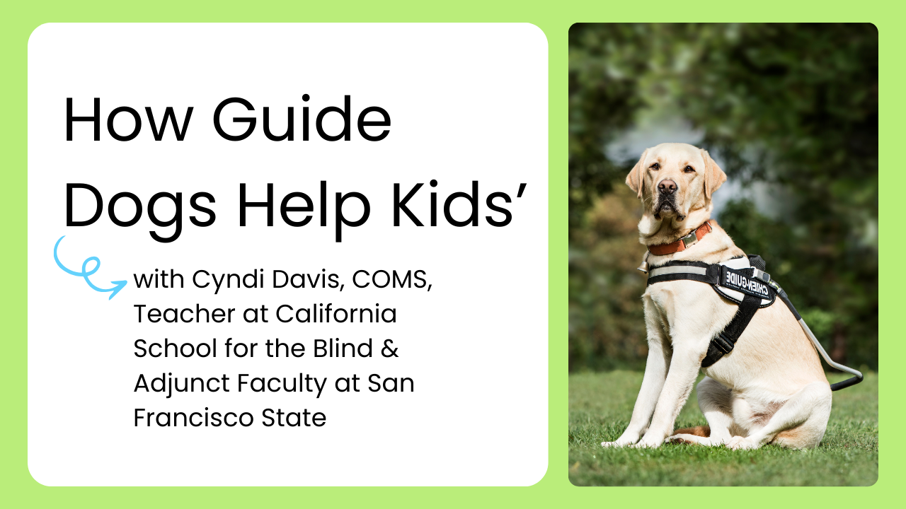 Ways Guide Dogs Help with Orientation and Mobility
