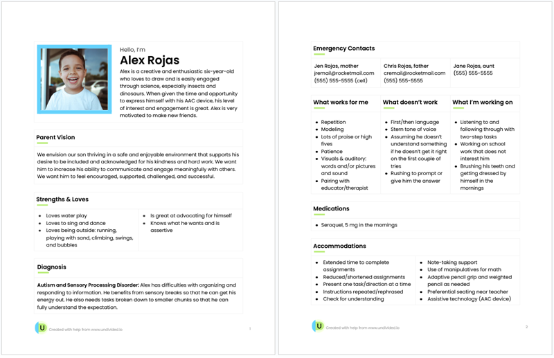 IEP Summary Printable Template